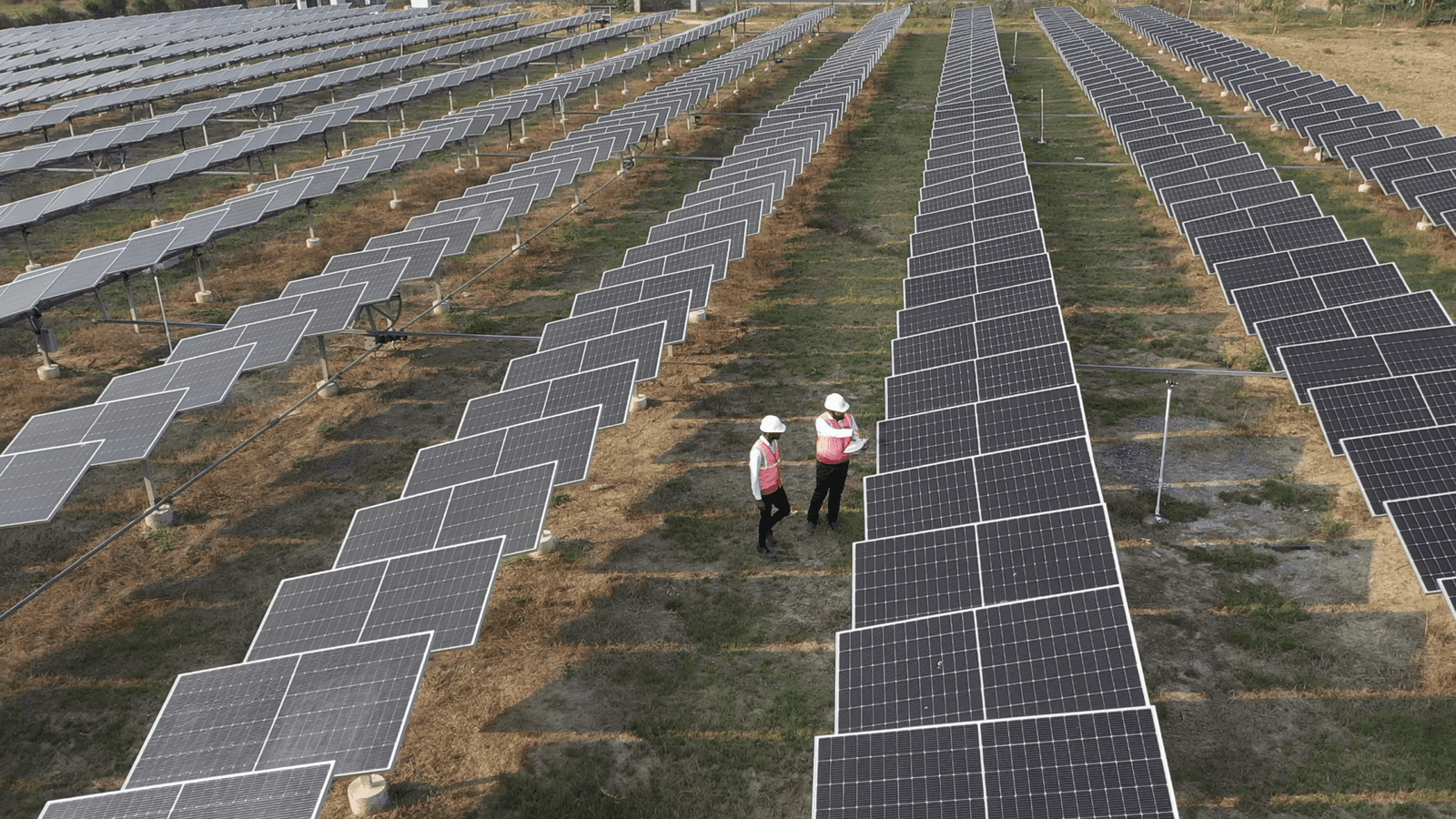 Total Asset Management